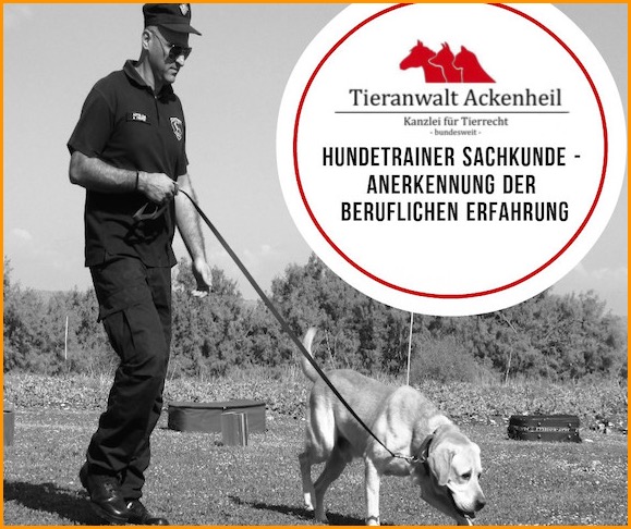 Hundetrainer Erlaubnis: Erfahrung ist ausreichend - keine ...